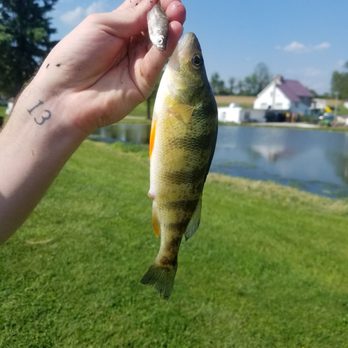 KURTZ FISH HATCHERY - Updated October 2025 - 11 Photos - 153 Isabella ...