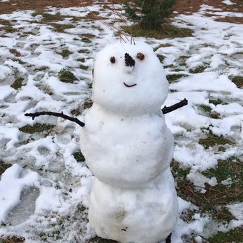 NORTH STAR TREE FARM - Updated October 2025 - 58 Photos & 31 Reviews ...