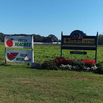 FOUR TOWN FARM - Updated June 2025 - 126 Photos & 83 Reviews - 90 ...