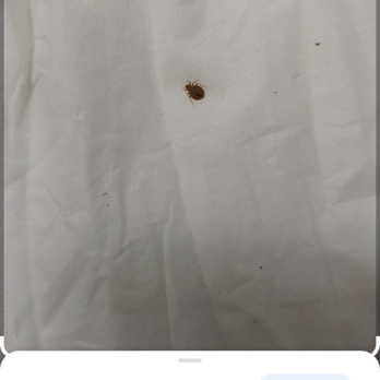 HAMPTON INN DOYLESTOWN - Updated January 2026 - 106 Photos & 31 Real ...