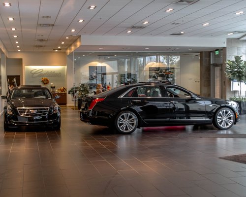 CADILLAC OF NOVI - Updated October 2025 - 27 Photos & 105 Reviews ...