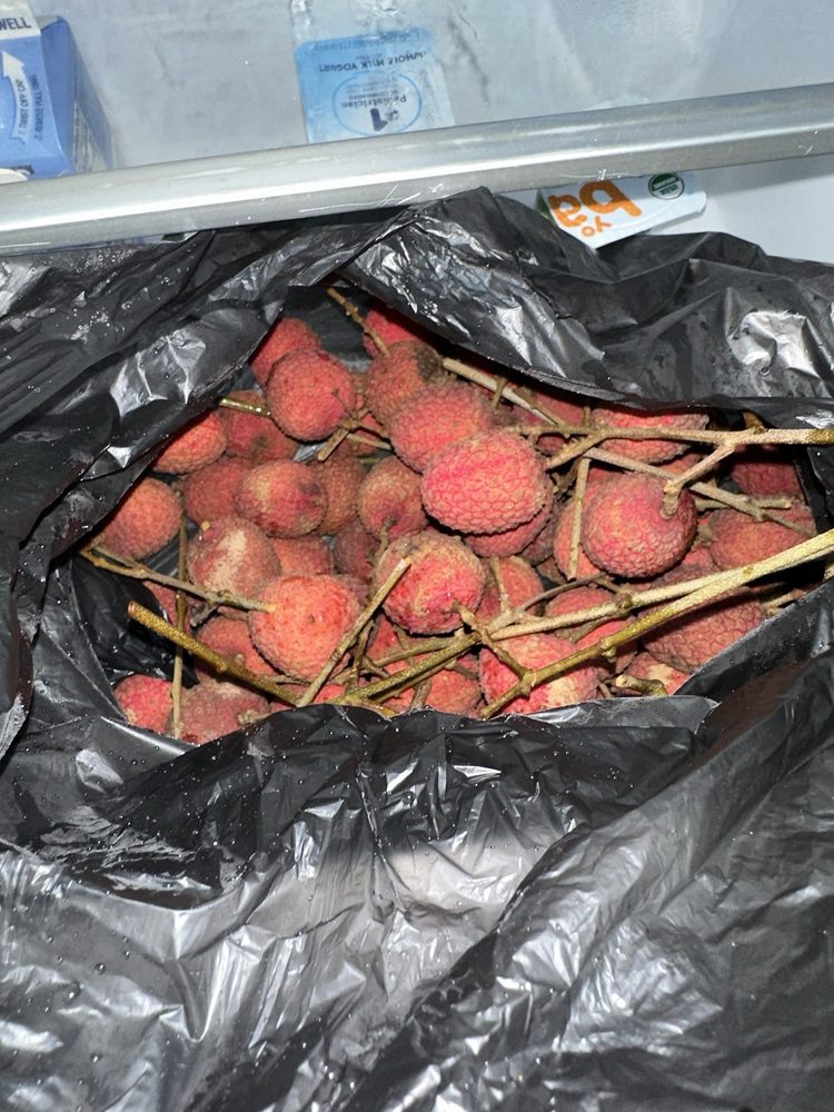 NAGA GARDENS - Updated June 2025 - 3160 D Rd, Loxahatchee, Florida ...