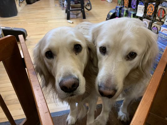 CHICAGO FRET WORKS - Updated December 2025 - 58 Photos & 114 Reviews ...