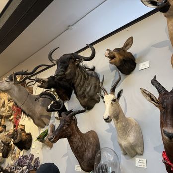 PAXTON GATE - Updated October 2025 - 198 Photos & 167 Reviews - 4204 N ...