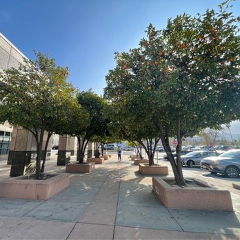 CORONA PUBLIC LIBRARY - Updated May 2025 - 128 Photos & 82 Reviews ...