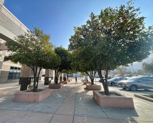 CORONA PUBLIC LIBRARY - Updated May 2026 - 129 Photos & 86 Reviews ...