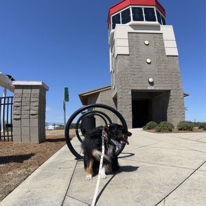 CAUBLE PARK AT ACWORTH BEACH - Updated October 2025 - 76 Photos & 14 ...