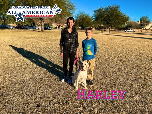 ALL-AMERICAN K-9 DOG TRAINING - 384 Photos & 269 Reviews - Phoenix ...