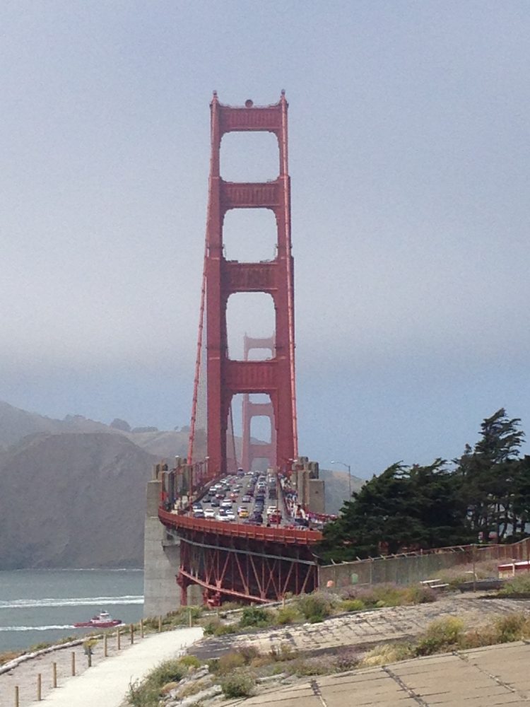 ROAD RUNNER CIVIL PROCESS - Updated March 2024 - 2615 Sockeye Dr ...