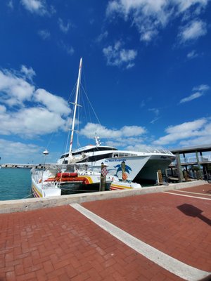 KEY WEST EXPRESS - Updated January 2025 - 58 Photos & 81 Reviews - 100 ...