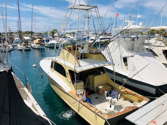 HUMDINGER SPORTFISHING - Updated April 2025 - 50 Photos & 29 Reviews ...