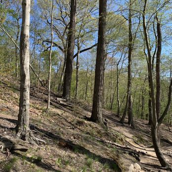 COLD SPRING HARBOR STATE PARK - Updated November 2024 - 252 Photos & 65 ...