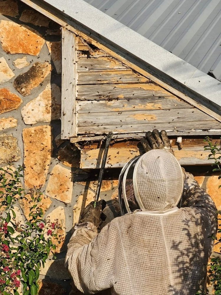 SWEET BEES AND HONEY SQUEEZE - Updated October 2025 - 17 Photos ...