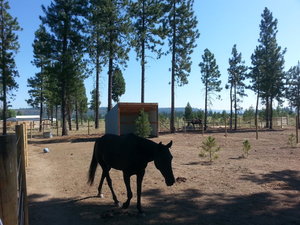 HIDDEN TRAIL STABLES - Updated July 2025 - 7710 N Garfield Rd, Spokane ...