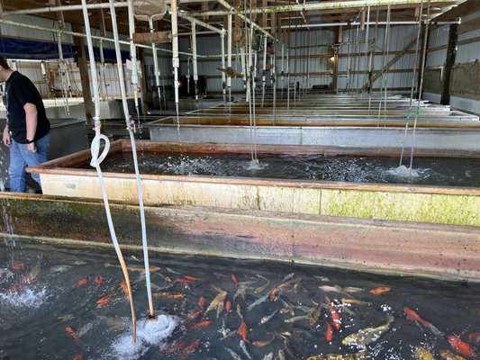 FENDER’S FISH HATCHERY - Updated December 2025 - 50527 Tr 220, Baltic ...