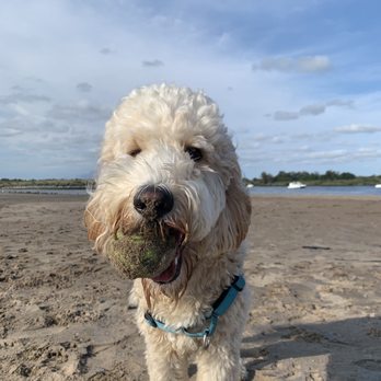 GERRITSEN BEACH PARK - Updated December 2025 - 17 Photos - 2957 ...