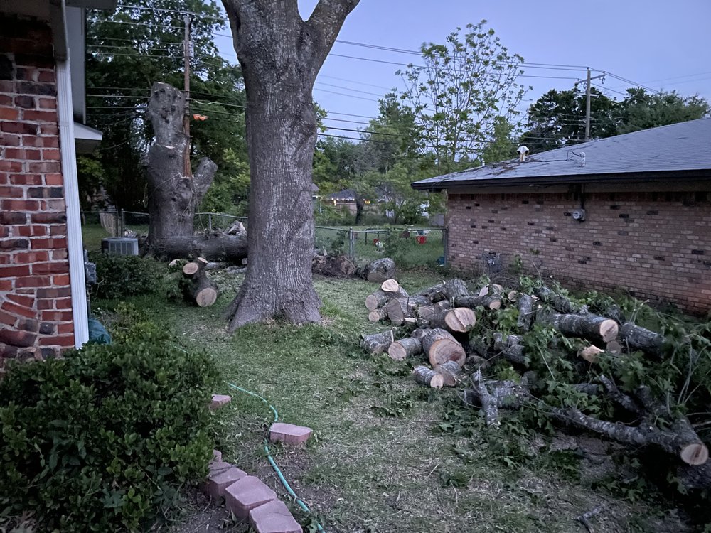 WISE OAK TREE SERVICE - Updated July 2025 - 17 Photos - Waco, Texas ...