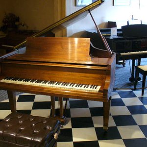 JON DELONG-PIANO TUNING & REPAIR - Moss Beach, California - Piano ...