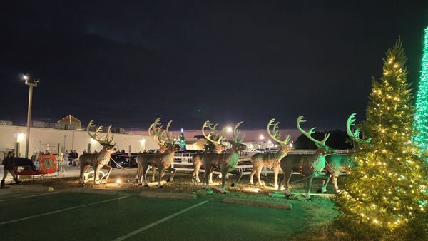 SCHELLVILLE VILLAGE - Updated December 2025 - 12 Photos - 36470 Seaside ...