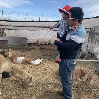 RANCHO LOS FONSECA - Updated January 2026 - 154 Photos & 50 Reviews ...