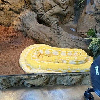 LEGASEA AQUARIUM & THE REPTARIUM - Updated August 2025 - 102 Photos ...