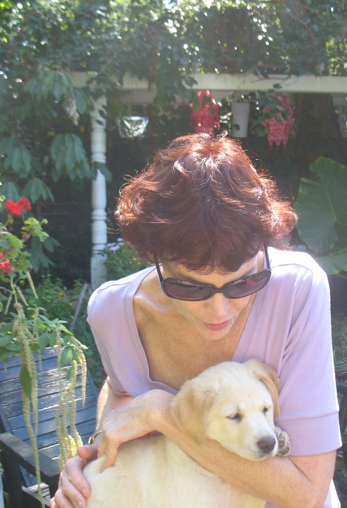 ELLIE EGAN, LMHC - Updated August 2025 - 50 Trapelo Rd, Belmont ...