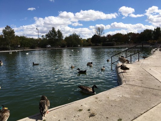 TINGLEY BEACH - 158 Photos & 38 Reviews - 1800 Tingley Dr SW ...