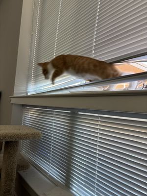 PRODUCE JUNCTION - Updated October 2025 - 46 Photos & 33 Reviews - 260 ...