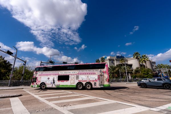 TEA AROUND TOWN - Updated December 2025 - 235 Photos & 50 Reviews - 500 ...