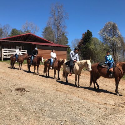 CHATTAHOOCHEE STABLES - Updated March 2025 - 18 Photos & 31 Reviews ...