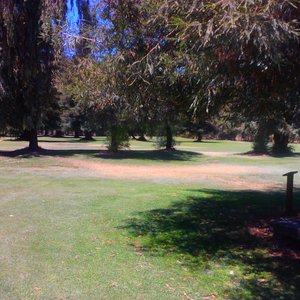 Dryden Park Golf Course - Book A Tee Time - 10 Reviews - Golf - 920 ...