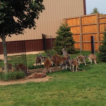 BOULDER RIDGE WILD ANIMAL PARK - Updated September 2024 - 142 Photos ...