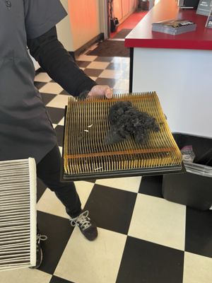 BELL FORD - Updated April 2025 - 181 Photos & 524 Reviews - 2401 W Bell ...