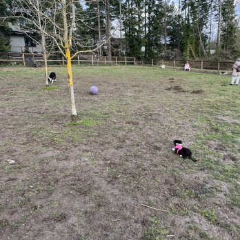 HAZELIA FIELD DOG PARK - Updated December 2025 - 86 Photos & 64 Reviews ...