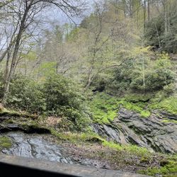 THE 10 BEST Things to Do in Wilton Springs, TN - 2025 - Yelp