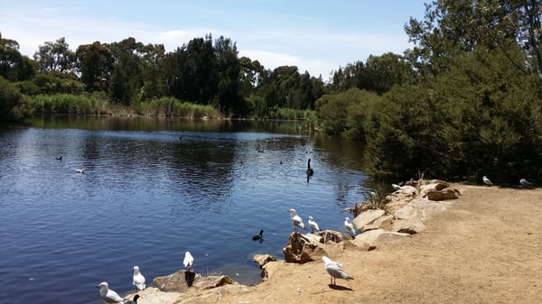 APEX PARK - Updated August 2024 - 10 Photos - Burbridge Rd, West Beach ...