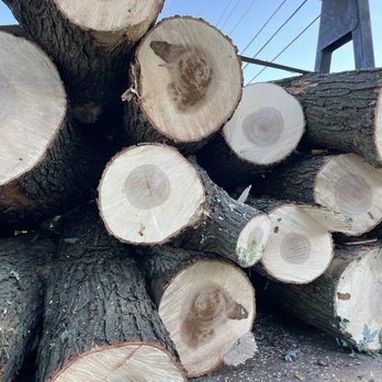 HUBER TREE EXPERT - Updated April 2025 - 109 Photos & 31 Reviews - 1622 ...