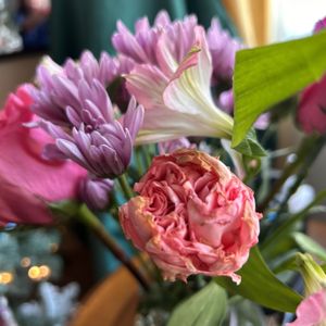 MIRACLE FLOWERS - Updated June 2025 - 484 Photos & 365 Reviews - 610 E ...