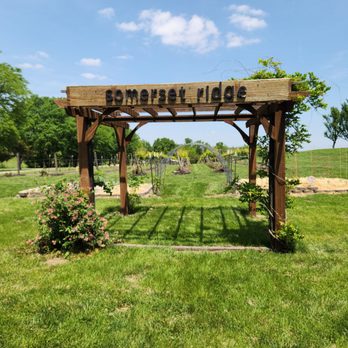 SOMERSET RIDGE VINEYARD & WINERY - Updated May 2025 - 122 Photos & 66 ...