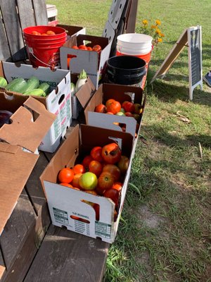 WESLEY WELLS FARM - Updated May 2025 - 99 Photos & 11 Reviews - 2680 ...