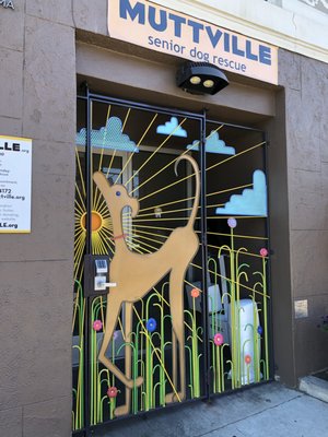 MUTTVILLE SENIOR DOG RESCUE - 264 Photos & 140 Reviews - 255 Alabama St ...