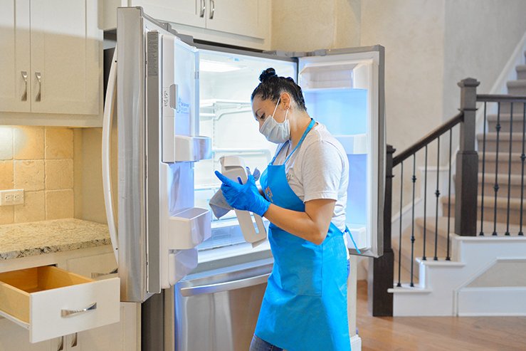 ROXANNE’S CLEANING SERVICES - Request a Quote - 11 Photos ...