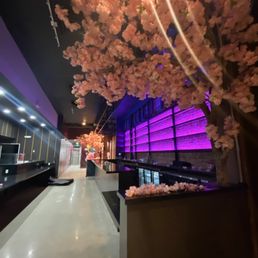 SAKU RAMEN - Updated April 2025 - 688 Photos & 929 Reviews - 3643 Main ...