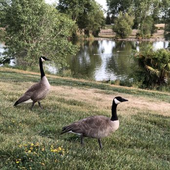 NORTH NATOMAS REGIONAL PARK - Updated December 2025 - 88 Photos & 12 ...