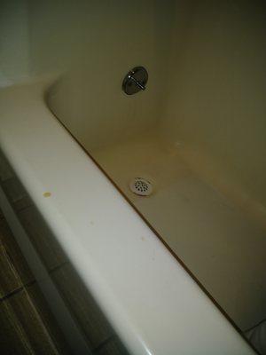 QUALITY INN & SUITES - Updated August 2025 - 88 Photos & 66 Reviews ...