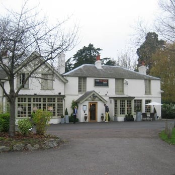 THE ORANGE TREE - Updated December 2025 - 23 Reviews - 7 Totteridge ...