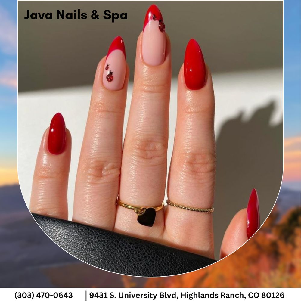 JAVA NAILS & SPA - Updated August 2025 - 216 Photos & 165 Reviews ...