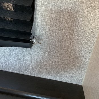 BLUE DOG RV - Updated October 2025 - 16 Photos & 52 Reviews - 4850 ...