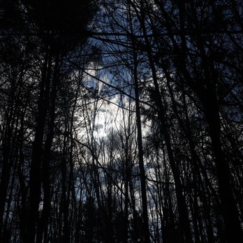 PINHEY FOREST - Updated March 2025 - 1701 Woodroffe Avenue, Ottawa ...