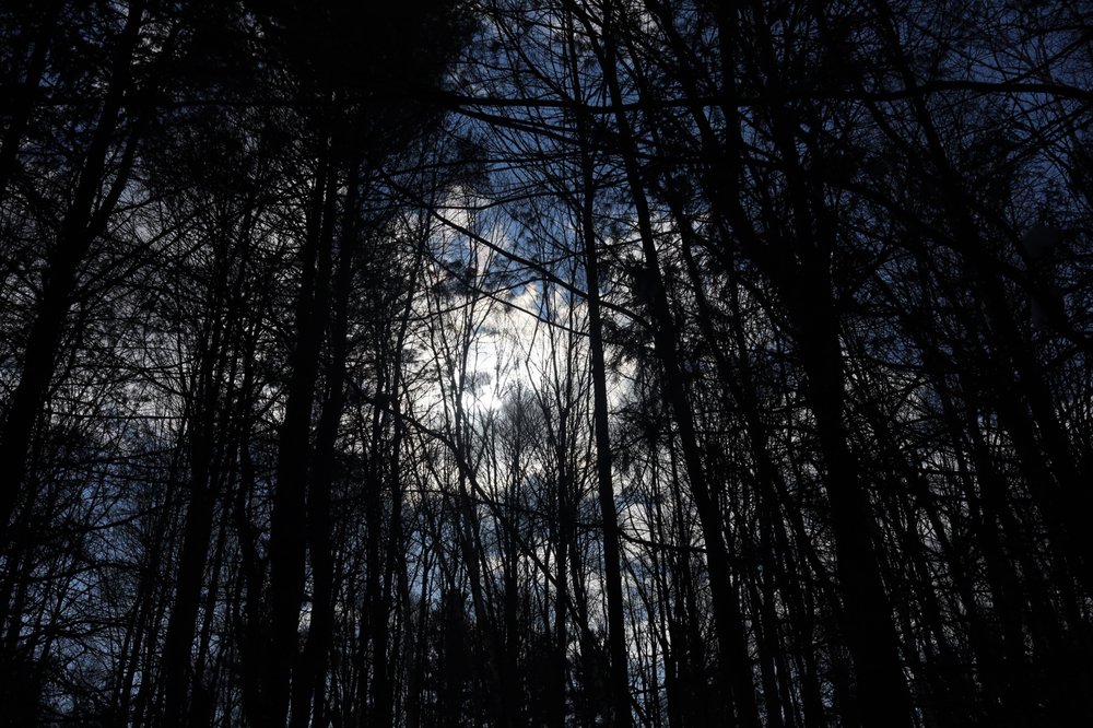 PINHEY FOREST - Updated March 2025 - 1701 Woodroffe Avenue, Ottawa ...